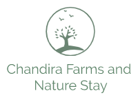 Chandira Nature Stay – Live within the nature