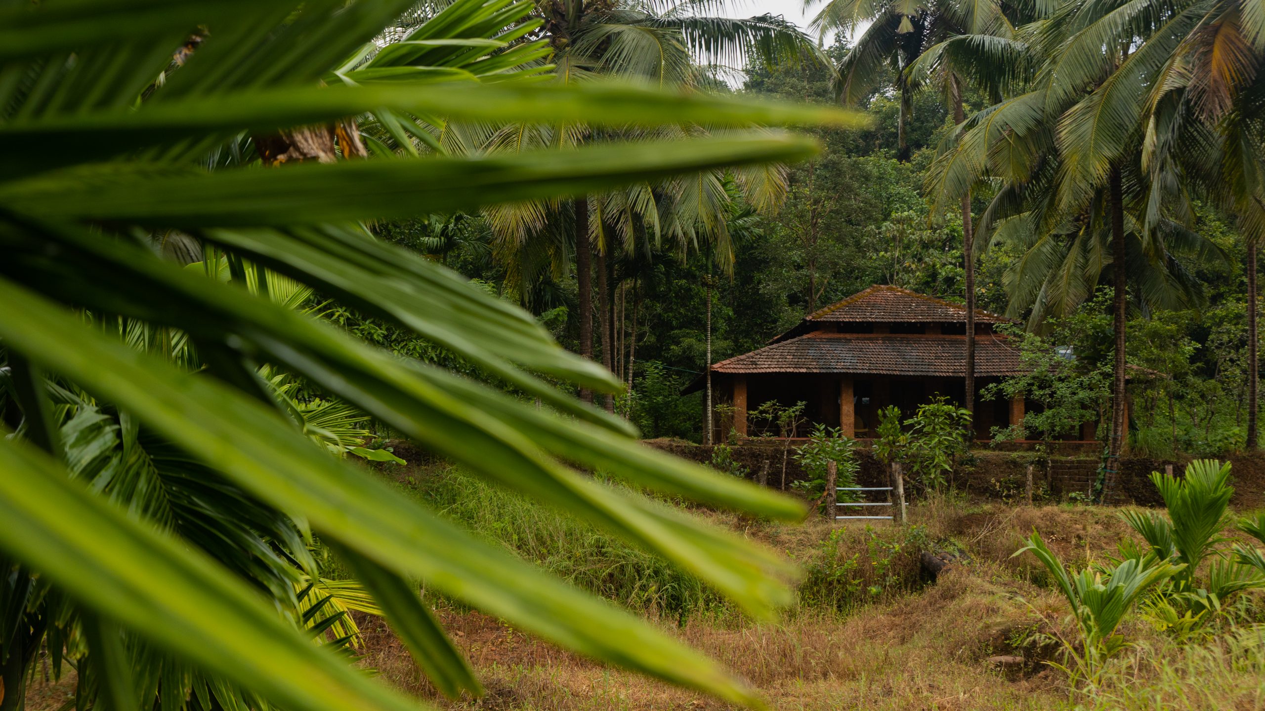 Property – Chandira Nature Stay
